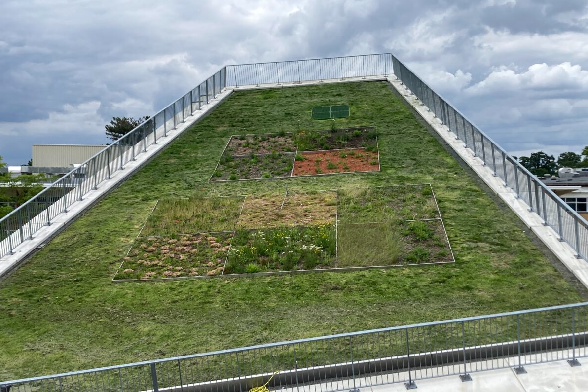 Groendaken: do’s & don'ts - PXL eXperts